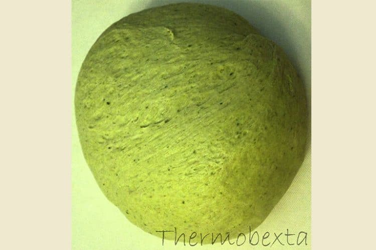 Thermobexta's Green Pizza Dough - Thermobexta